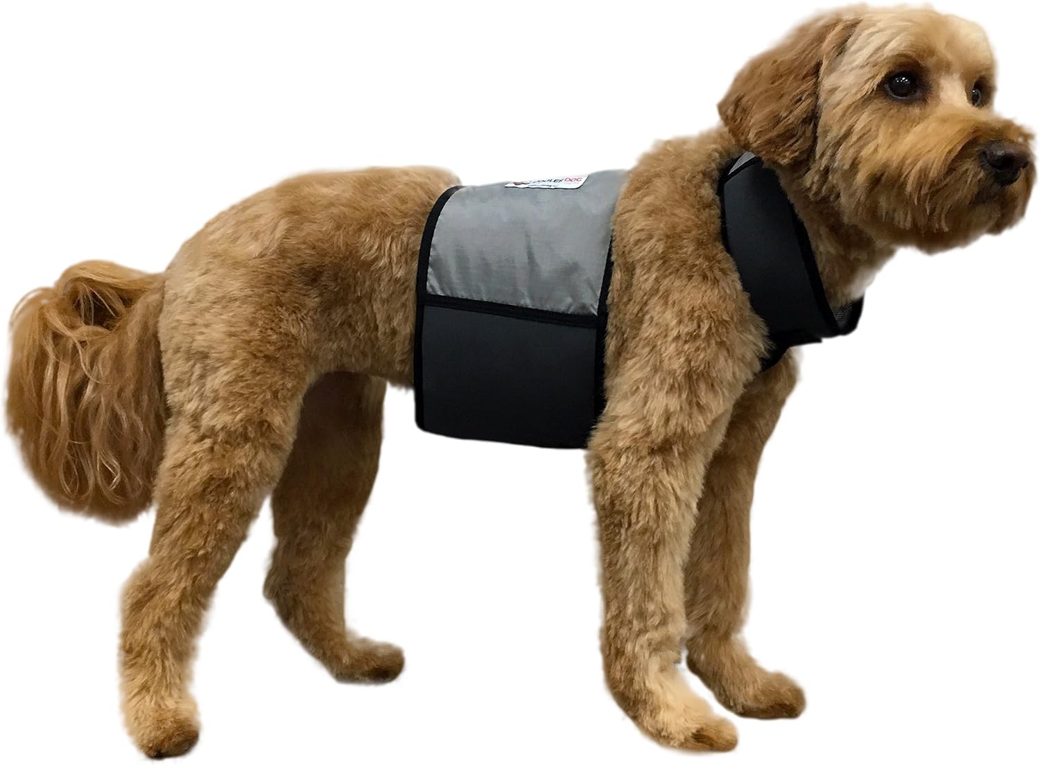 The 10 Best Dog Cooling Vest Must Luv Dogs Home Creation