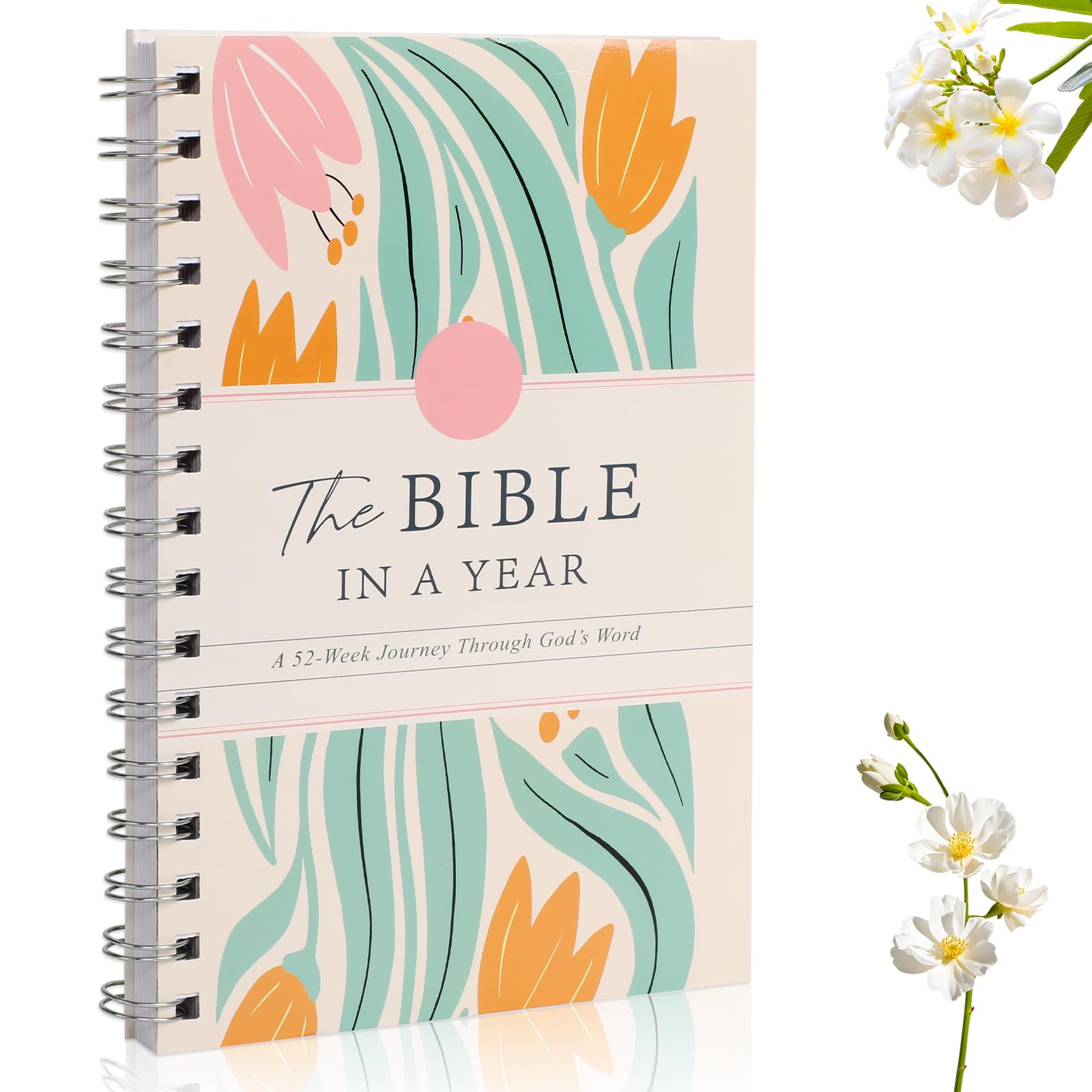 The Bible In A Year:A 52-Week Study for Women,Spiral Bible Study Guide ...