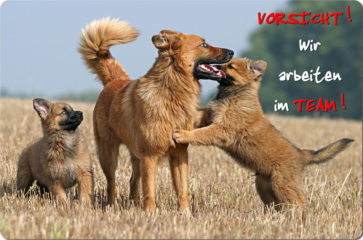 HARZER FUCHS - Metall WARNSCHILD Schild Hundeschild Sign - HZF 07 T16 ...