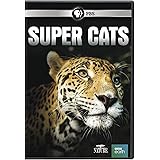 Amazon.com: Inside Nature's Giants: Big Cats : ., .: Movies & TV