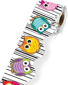 Amazon.com : Carson Dellosa Colorful Owl Bulletin Board Borders, 36 ...