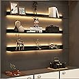 Amazon.com: Wall Mounted Light-Emitting Shelves, Storage Shelf Floating ...
