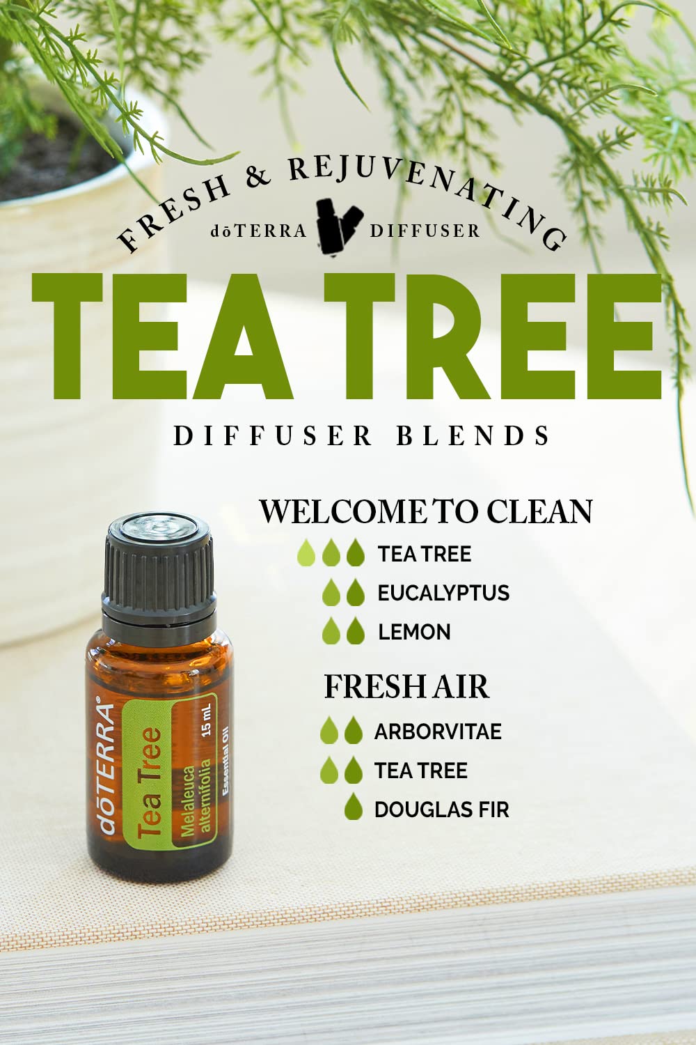 Mua Melaleuca (Tea Tree) Essential Oil - 15 mL doTERRA Melaleuca (Tea ...
