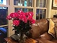 Amazon.com : 100 Pink Roses - Fresh Flowers- Next Day Delivery : Fresh ...