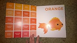 Amazon.com: Pantone: Colors (9781419701801): Pantone: Books