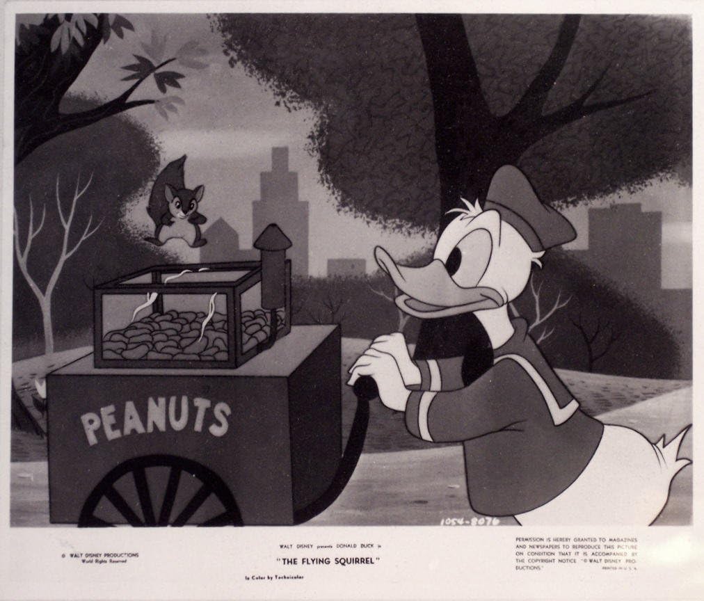 Donald Duck in "The Flying Squirrel" Lobby Card Publicity Still - Walt ...