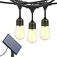 Amazon.com : Brightech Ambience Pro Solar Powered String Lights ...