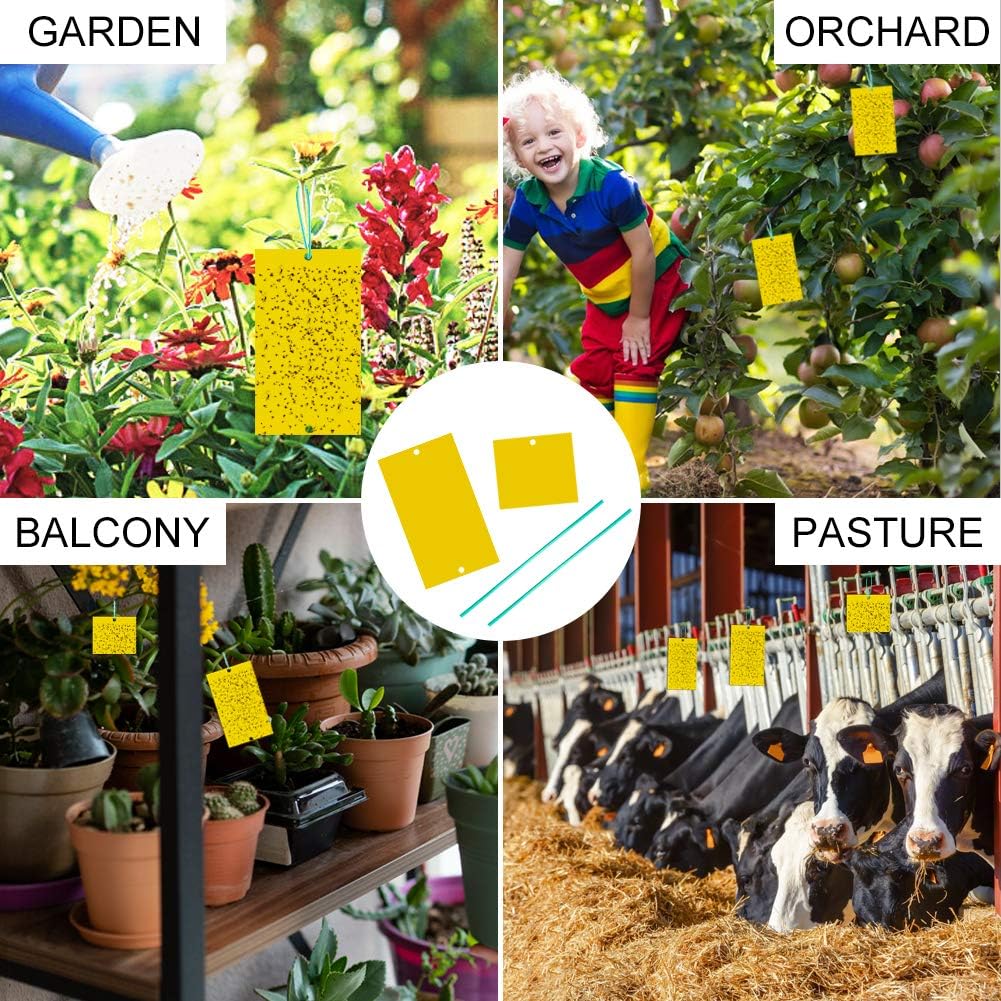 24 pieces fly trap with large adhesive surface, multiple use of yellow ...