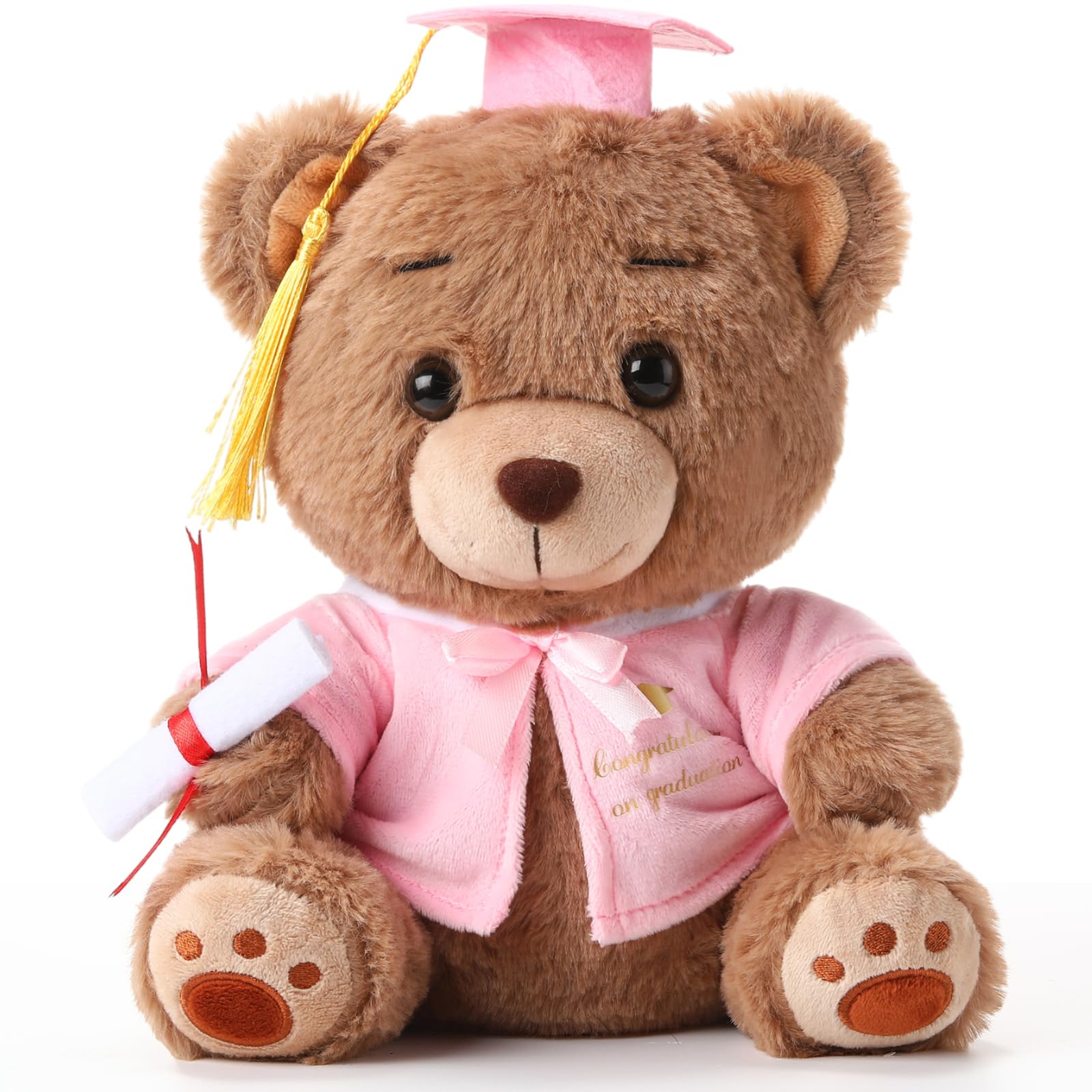 Deekin 10 Inch Graduation Bears Stuffed Animal Class of 2025 Plush Bear ...