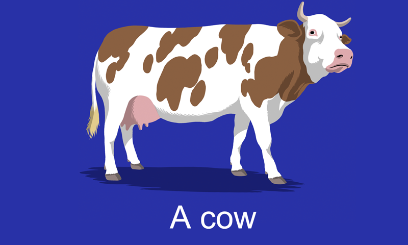 Farm Animals:Amazon.com:Appstore for Android