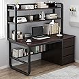 Amazon.com: ALEEIK Computer Desk with Hutch and Bookshelf,Home Office ...