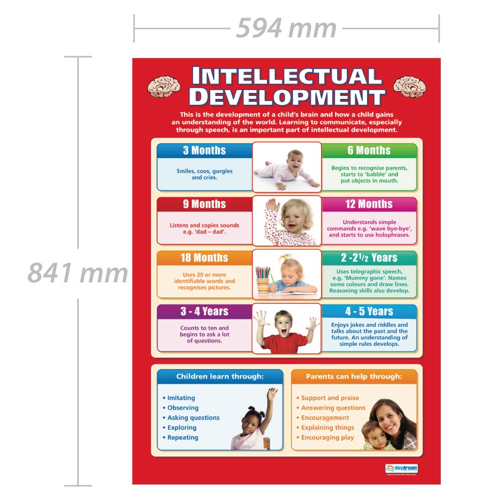 Intellectual Development | Child Development Posters | Laminated Gloss ...