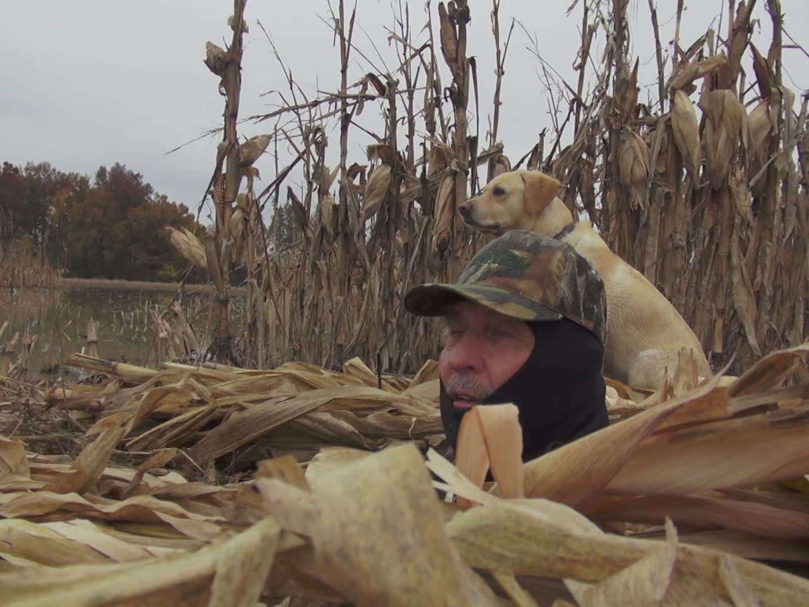 Watch Gun Dog TV - Season 7 | Prime Video