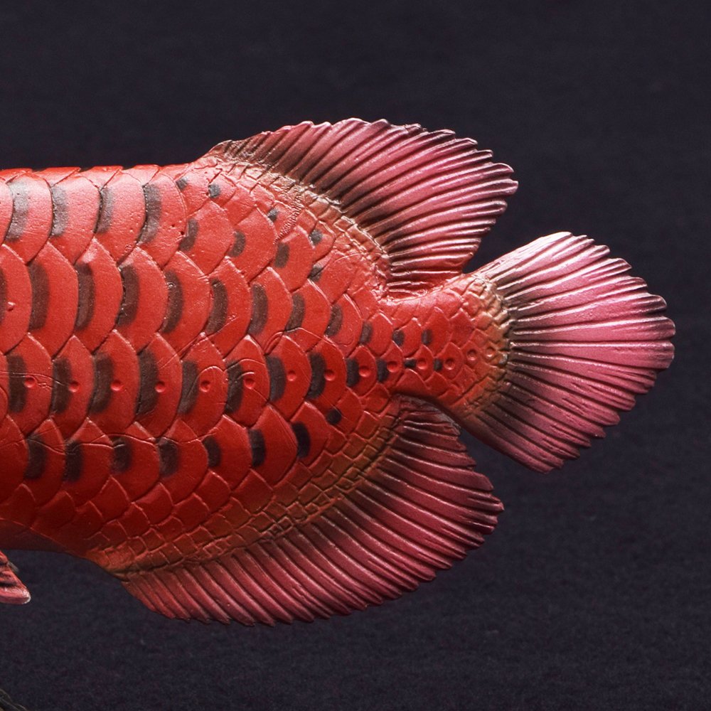 Favorite Asian Arowana / Red Dragon Software Model (FF-005 ...