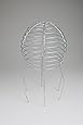 Chimney Bird Guard Cowl Wire Balloon: Amazon.co.uk: DIY & Tools