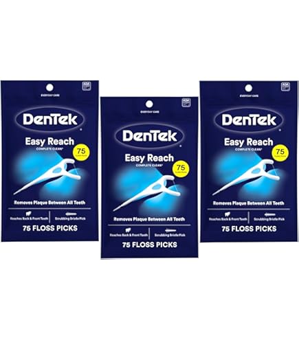 Reach Dental Floss Pick