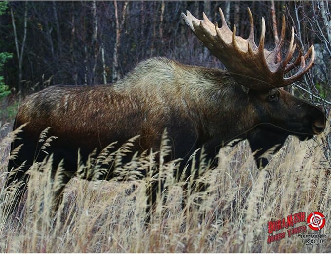 DuraMesh Archery Moose Target, Brown, 25-Inchx32-Inch, Targets - Amazon ...