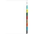 Amazon.com : Omnimed 220911 16 Tab Preprinted Poly Chart Dividers with ...