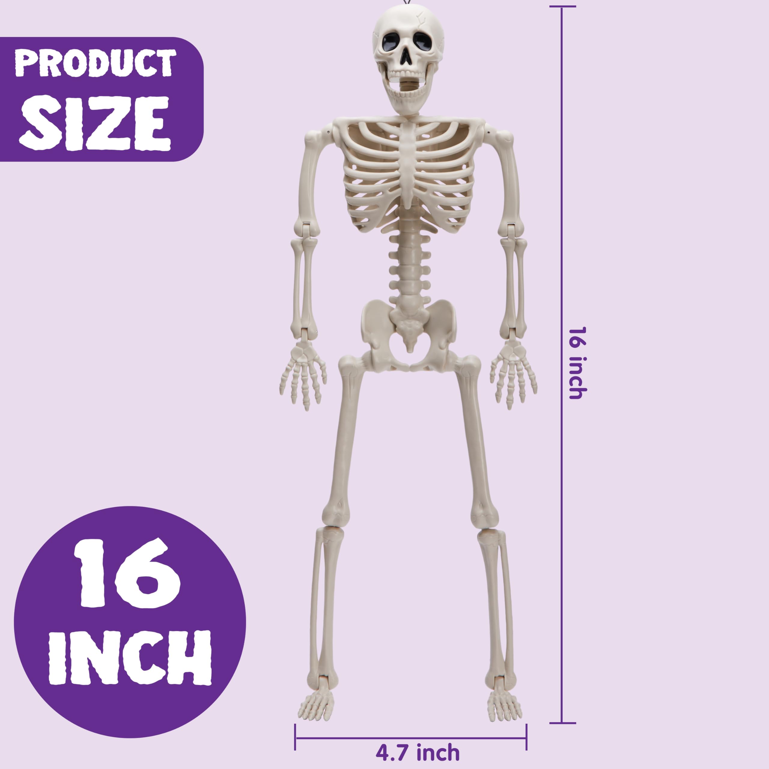 Mua JOYIN 5 PCS Posable Halloween Skeleton Decor 16 Inches, Full Body ...