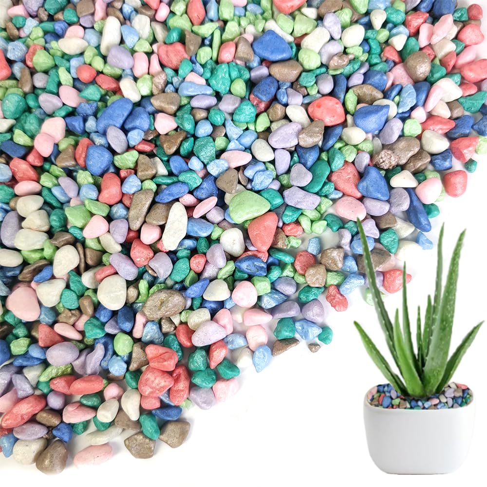 HappyFiller Colored Pea Gravel, Indoor Plants Succulent Cactus Topper ...