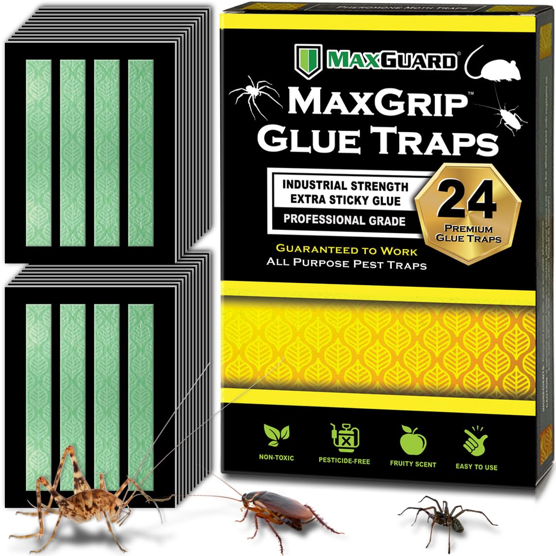 MaxGuard MaxGrip Glue Traps (24 Traps) Non-Toxic Extra Sticky Glue Board Pre-Baited with Fruity ...