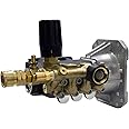 Amazon.com : AAA Model DW3635 Triplex Plunger Pump OEM Replacement Pump ...