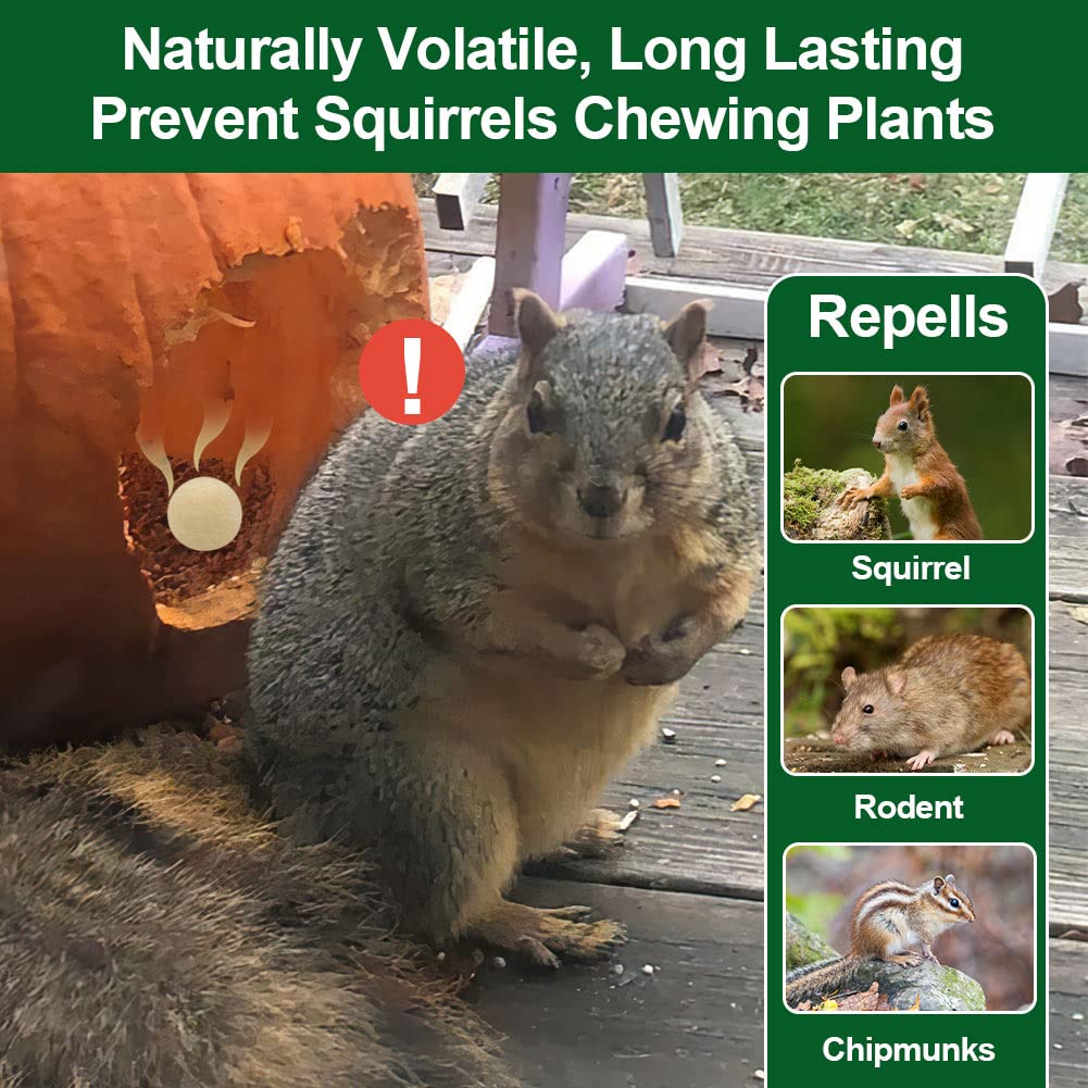 Mua TSCTBA Squirrel Repellent Outdoor, Rodent Repellent, Squirrel ...