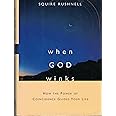 When God Winks: How the Power of Coincidence Guides Your Life (1) (The ...