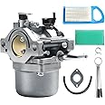 Amazon.com: 590399 Carburetor Fits for B&S 590399 796077 for Nikki ...