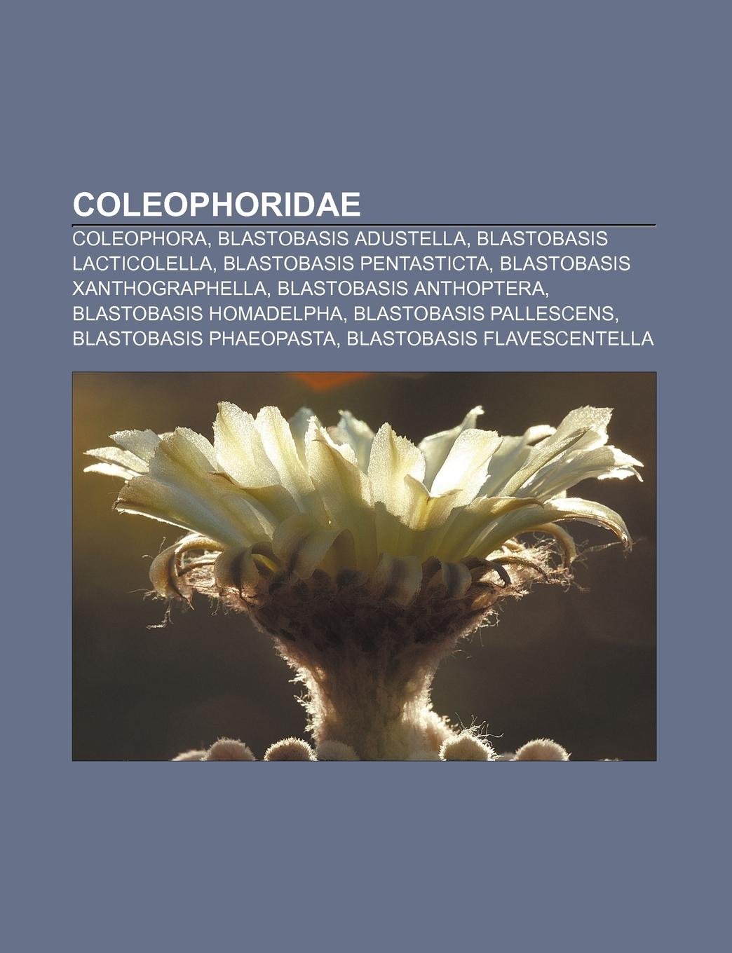 Coleophoridae: Coleophora, Blastobasis Adustella, Blastobasis ...