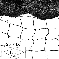 Amazon.com New Releases: The best-selling new & future releases in ...