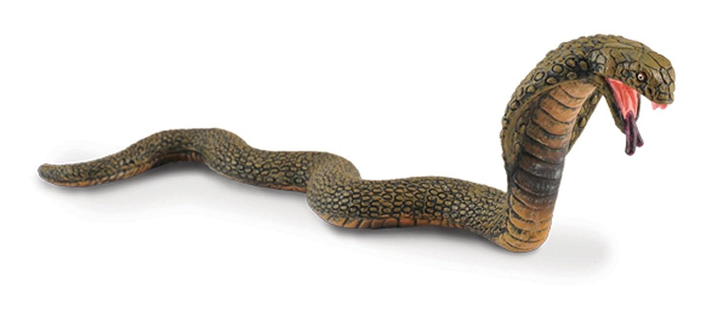 Collecta King Cobra Figure: Amazon.co.uk: Toys & Games