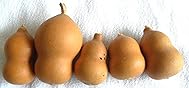 Amazon.com: WellieSTR Lot of 20pcs Mine Natural Dry Gourd Bottle Gourd ...