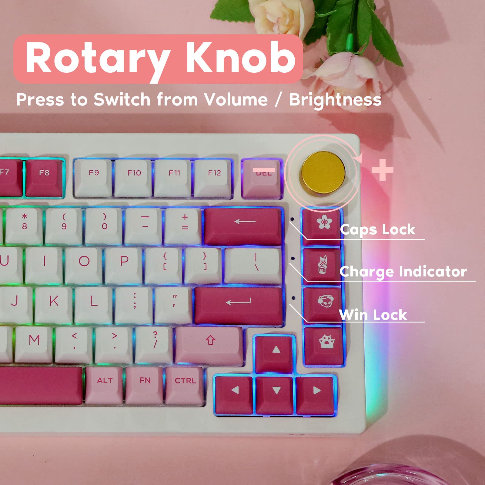 Mua EPOMAKER AKKO 5075B Plus Gasket Hot Swap Mechanical Keyboard, 2.4GHz/Bluetooth 5.0/USB-C ...