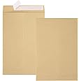 Amazon.com : JEFURE 18 Pcs 9x12 Brown Kraft Self Seal Security Envelopes, Manilla, Printable ...