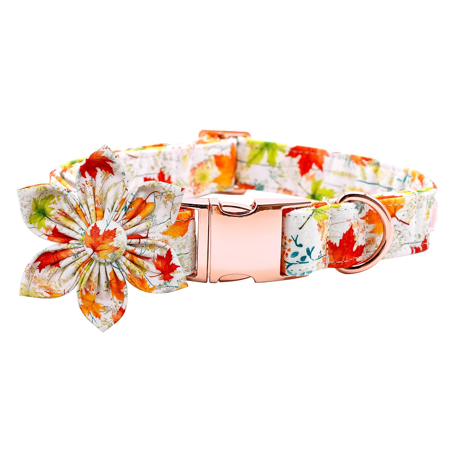 Bobo Rainbow Dog Collar with Flower - Fall Leaf Pet Collar Gift Puppy ...