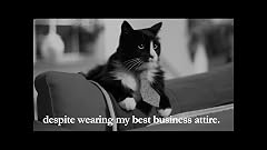 Amazon.com: Henri, le Chat Noir: The Existential Musings of an Angst ...