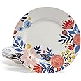 Amazon.com | over&back Stoneware Dinner Plate Set - In Partnership with ...