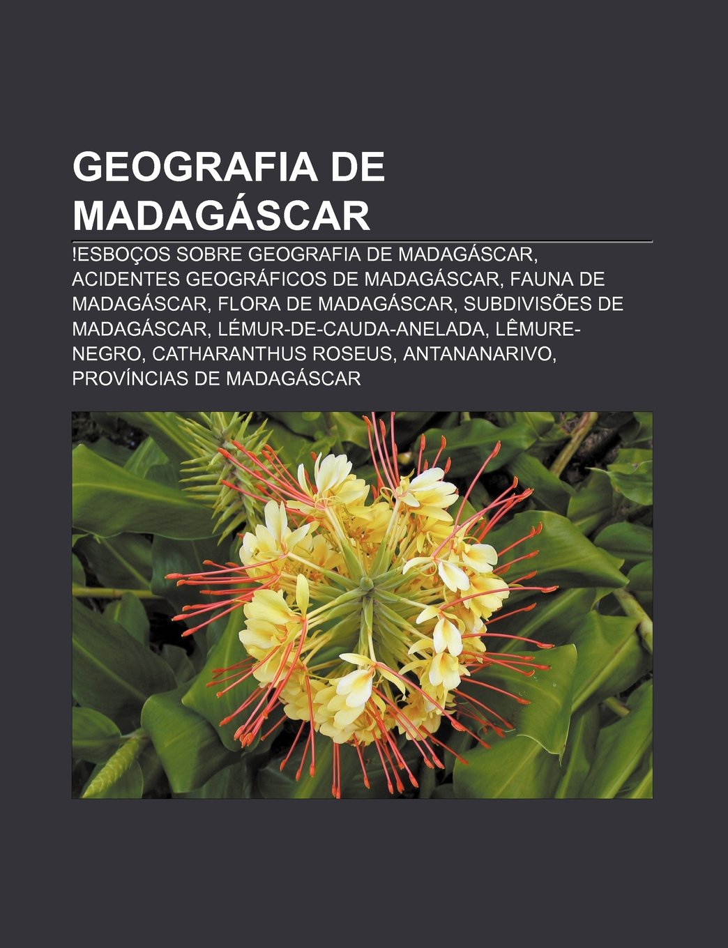 Geografia de Madagascar: !Esbocos Sobre Geografia de Madagascar ...