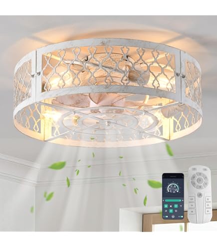Safari Ceiling Fans With Lights