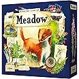 Amazon.com: Meadow Board Game - Nature Observing Drafting and Set ...