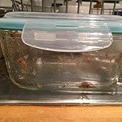 Utopia Kitchen Glass Food Storage Container Set - 18 Pieces (9 ...