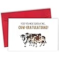 Amazon.com : RollupJoy Funny Cow Graduation Card, Cute Pun Graduation ...
