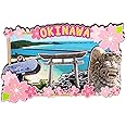 Amazon.com: Okinawa Japan Fridge Magnet 3D Classic Wooden Refrigerator ...