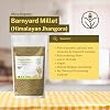 Shiva Organic Barnyard Millet - 900g | Himalayan Jhangora | Unpolished ...
