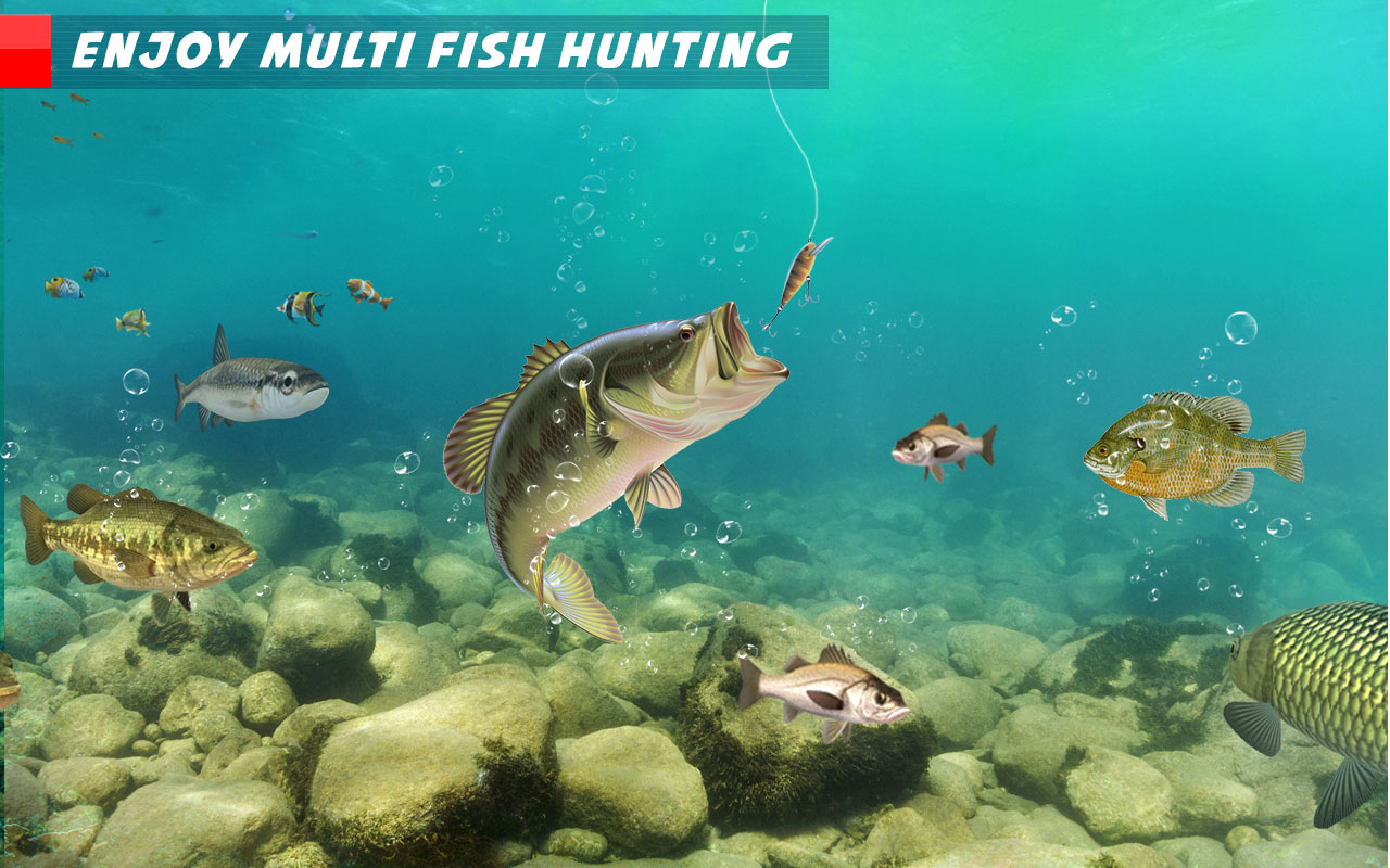 Ultimate Fishing Mania Hook Fish Catching Games:Amazon.com:Appstore for ...
