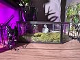 Amazon.com: Glass Coffin Display Box - 7.2" x 3.6" x 2.5" - Decorative ...
