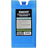 Amazon.com : Igloo Maxcold Medium Ice Block, Package May Vary (3 Pack ...