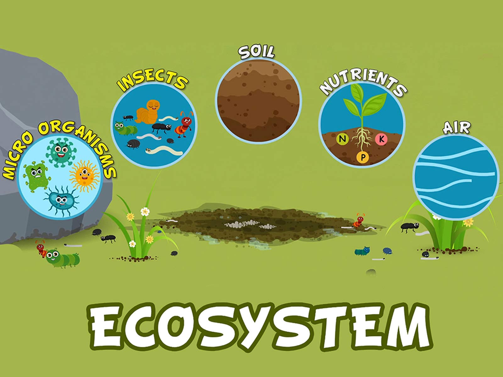 Watch The Dr. Binocs Show | Prime Video