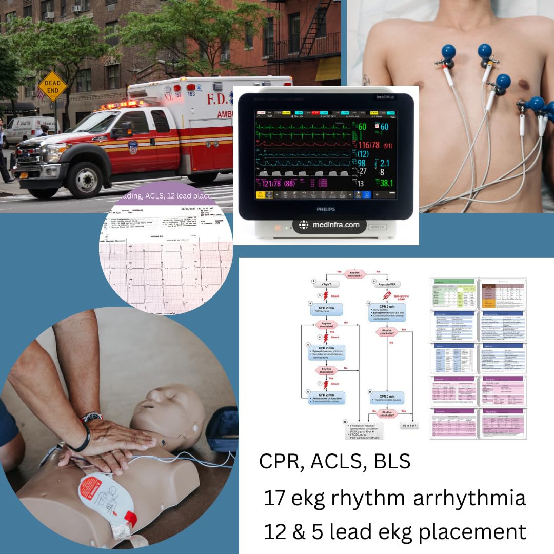 Mua 6 EKG Badge Cards, Cardiac Badge Reference + (EKG Cheat Sheets PDF ...